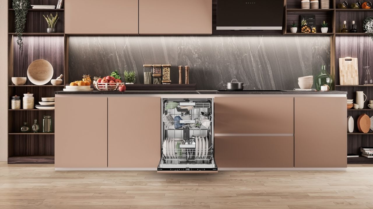 Cove DW2451 Dishwasher Review: Quiet, Panel-Ready Design with Powerful ...