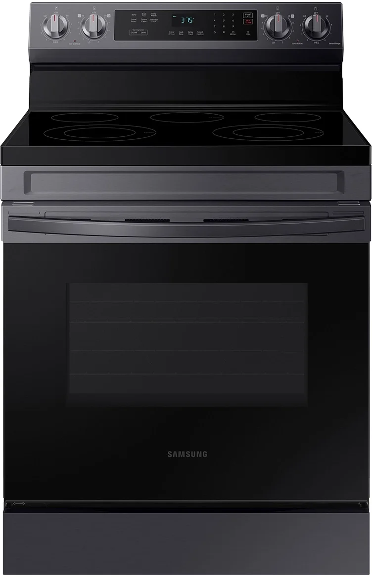 Samsung NE63A6311SG 6.3 cu. ft. Smart Freestanding Electric Range ...